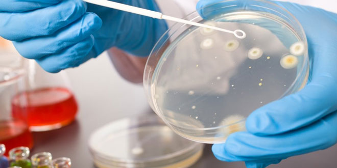 Ημερίδα: Μικροβιολογικοί κίνδυνοι χωρίς σύνορα: Σύγχρονες τάσεις ...