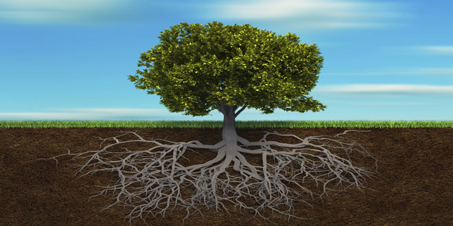 Σε τι βάθος πρέπει να φτάσει το νερό της άρδευσης - Το ενεργό ...