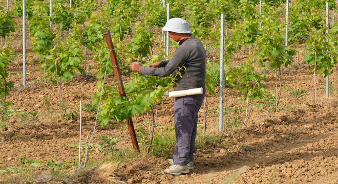 Ξεκινάει η εκπαίδευση των νέων γεωργών - Ελληνική Γεωργία