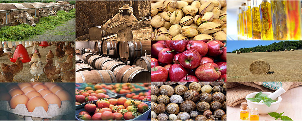 Χρηματοδότηση επιχειρήσεων για επενδύσεις στη μεταποίηση, εμπορία ή και ...