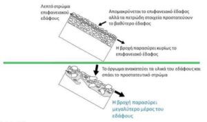 Πυρόπληκτοι ελαιώνες: Οι άμεσες ενέργειες για την προστασία του εδάφους ...